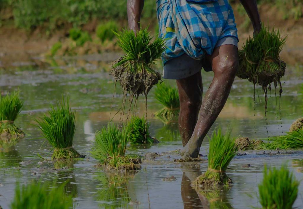 About Us | Madapalli